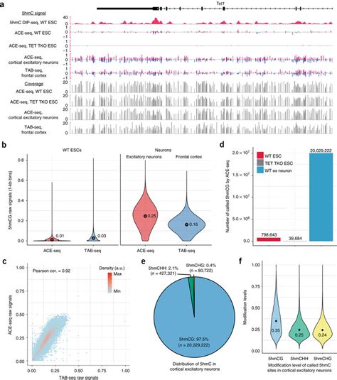 Generation Of Whole Genome Base Resolution Maps Of 5hmc Using