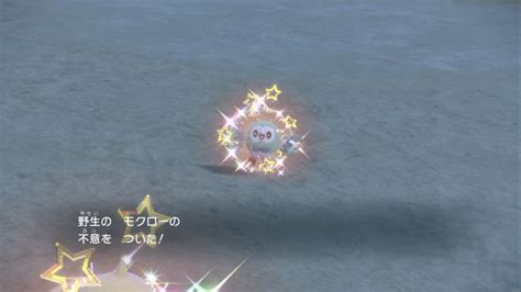 【sv】色違いブラッキーの厳選方法 色違いポケモン研究所