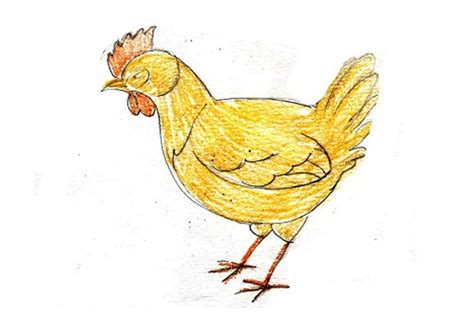 How To Draw A Chicken Cute Cartoon Realistic And 3 Ways