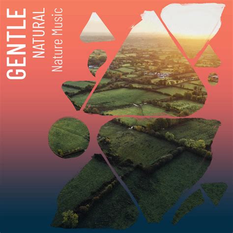 Zzz Gentle Natural Nature Music Zzz Album By Echoes Of Nature Spotify