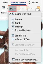 How To Add A Picture To A Word Document Knowadays