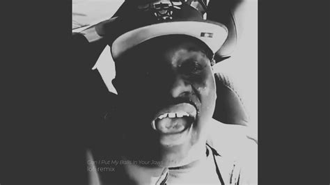 Can I Put My Balls In Your Jaws Lofi Remix Ales