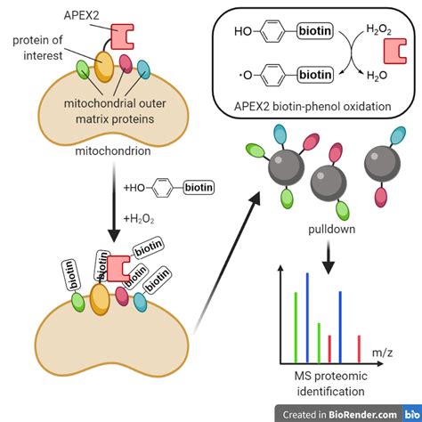 Which Bacterial Species Genera Do You Still Have Problems Identifying With Maldi Tof Ms