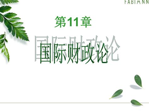 比较财政学第11章国际财政论