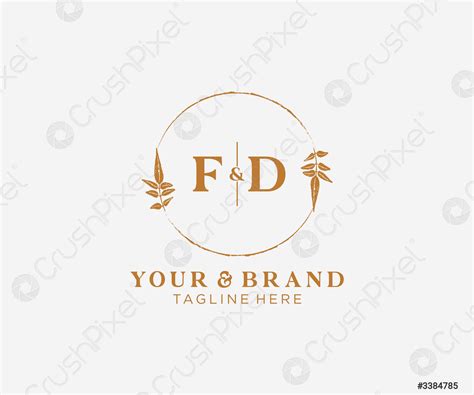 Initial Fd Letters Floral Frames Botanical Feminine Editable Premade Monoline Stock Vector