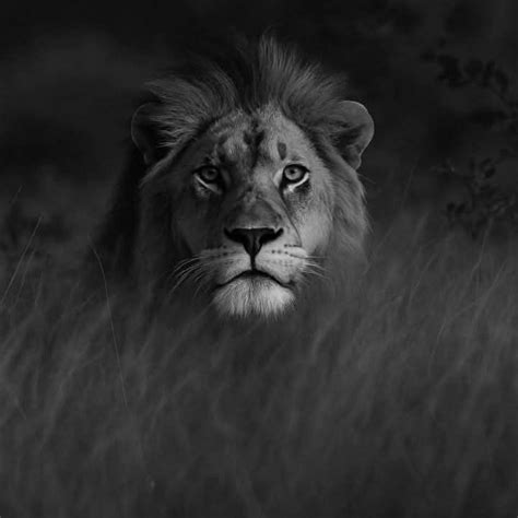 Karem Karem256562 Snapchat Stories Spotlight And Lenses