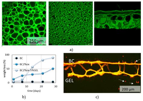 Bacterial Cellulose Production Modification And Perspectives In Biomedical Applications