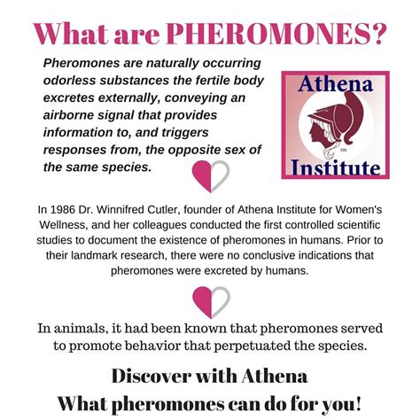 Wondering How Pheromones Can Enhance Your Beauty Routine Learn About