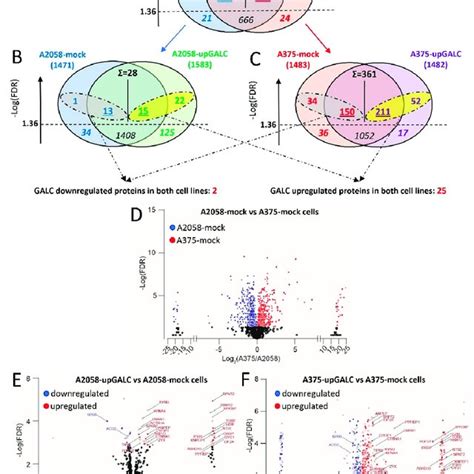 Summary Of The Quantitative Data Obtained By Proteomic Analysis Of Mock