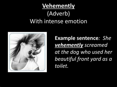Vehement Example