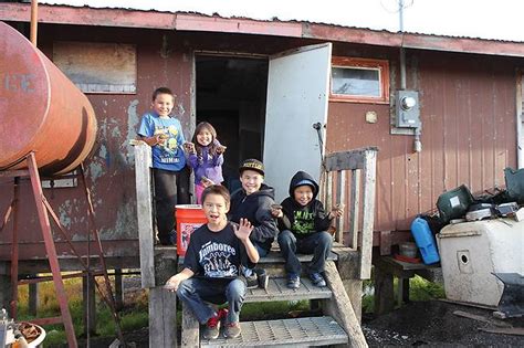 [알래스카를 가다] 북극곰 영역에 갈색곰 침범…기상 이변이 낳은 반란