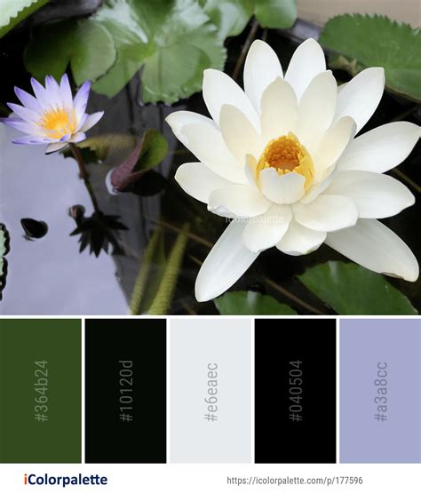 Color Palette Ideas From 172 Lotus Images Icolorpalette Color