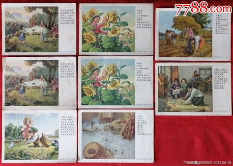 五十年代《辽宁画报社小画片》八张纸品藏宝阁【7788商城七七八八商品交易平台】