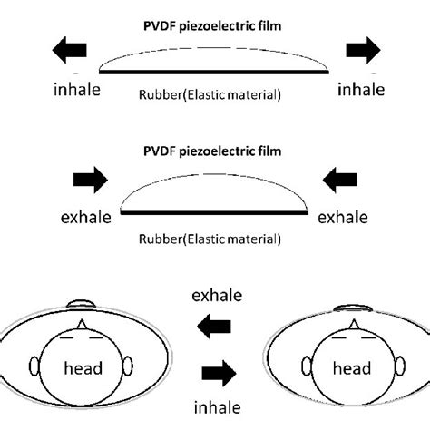 Operation Schematic Diagram Of Breathing Sensor Developed Using PVDF