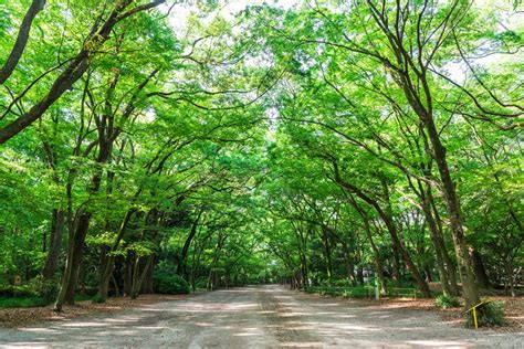 【2025最新】出町柳の人気スポットランキングtop30 Retrip リトリップ