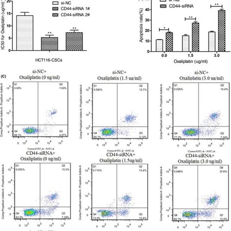 Knockdown Of Cd44 Inhibits Epithelialmesenchymal Transition Emt In