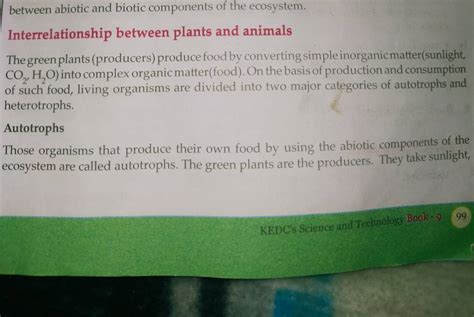 Between Abiotic And Biotic Components Of The Ecosystem Interrelationship