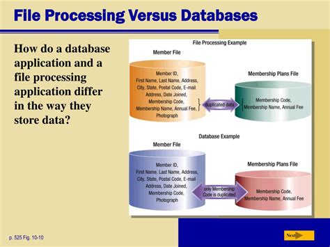 Ppt Chapter 10 Database Management Powerpoint Presentation Free Download Id5598877