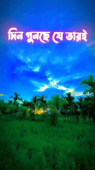 দেখ‌ মন কাশ বন দুলসে যে সাৰি😊🥰🦋🥀 Youtube