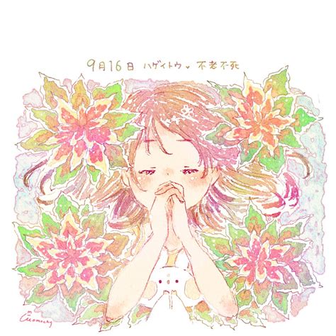 Momochy Web