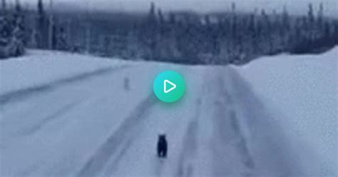 High Speed Chase In Canada  On Imgur