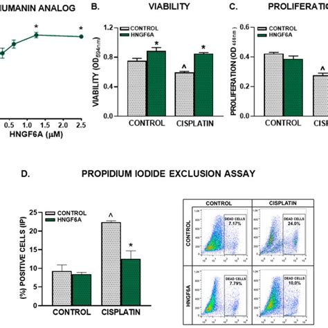 Chemotherapy Upregulates Hn In Human Gbm Cells Human U251 Mg Gbm Cells