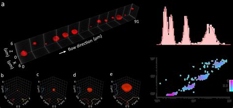 Light Field Flow Cytometry Lfc For 3d Single Cell Analysis