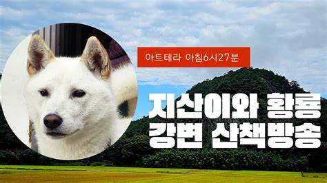 [2311290627] 황룡강변산책 진돗개 지산이 천둥이 테라코타창작소 조소작가김용우 소조 Terracotta