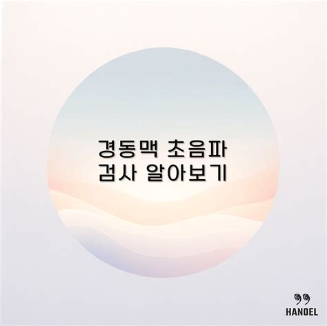 경동맥 초음파 검사 알아보기 원리 정상범위 비용 보험실비 적용 등