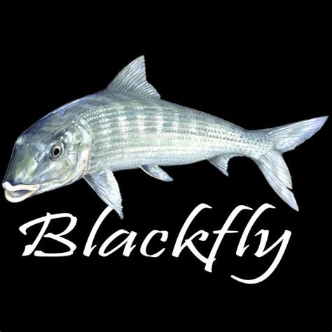 Decal Bf Bonefish Vaughn Cochran Art