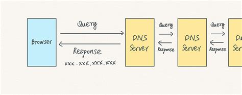 DNS Message — How to Read Query and Response Message | by Carson | Medium
