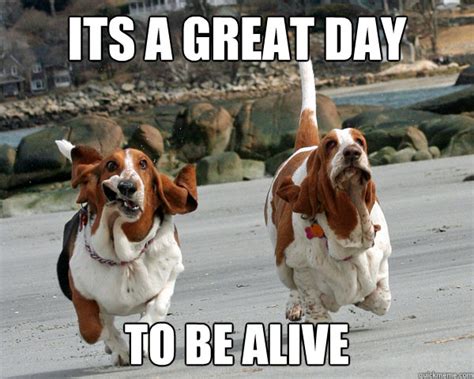 Its A Great Day To Be Alive Misc Quickmeme