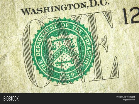 Department Of Treasury Seal Green