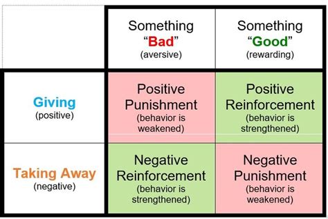 TYPES OF OPERANT CONDITIONING PROCEDURES In Operant Conditioning Positive Behavior