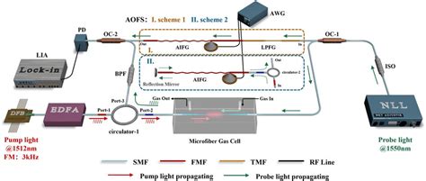 Schematic Diagram Of Experimental Setup For The Evanescent Field Pt