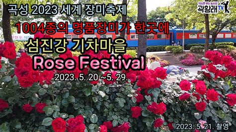 곡성 2023 세계장미축제 1004종의 명품장미가 한곳에 섬진강 기차마을 Rose Festival Youtube