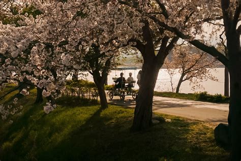 Jaei Film • Instagram Photos And Videos