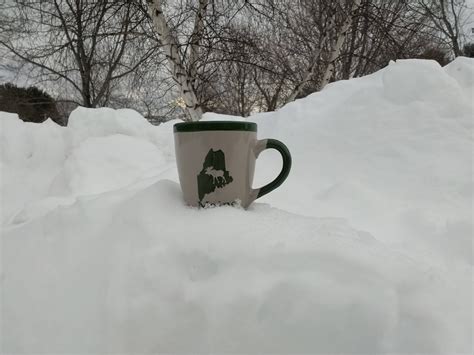 Whats The Difference Between Snow Sleet And Freezing Rain Classwork