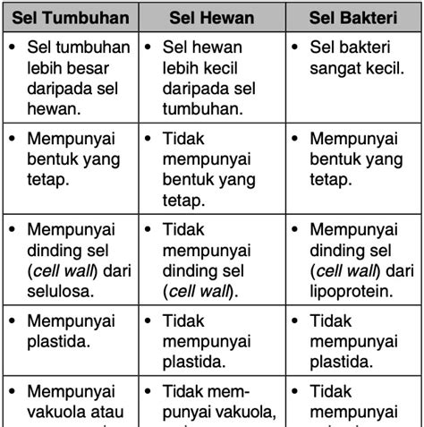 Jelaskan Perbedaan Sel Tumbuhan Sel Hewan Dan Sel Bakteri Mas Dayat