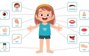 Partes del cuerpo en inglés