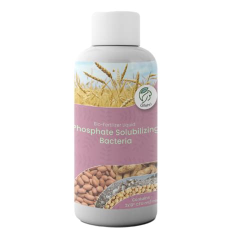 Phosphate Solubilizing Bacteria Gilehri Organics