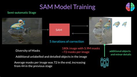 Segment Anything Model From Meta Ai — Model Architecture Training Procedure Data Engine And