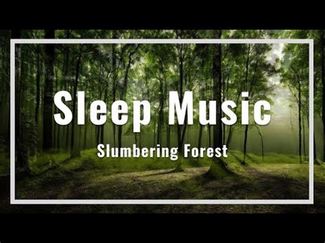 【睡眠用bgm】slumbering Forest まどろみの森｜眠たくなる曲・寝る時に聴く音楽 Youtube