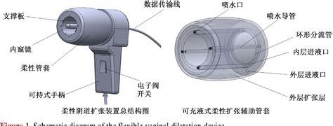 Figure 1 From Design And Optimization Of Flexible Vaginal Expansion Device Based On Fluid Solid