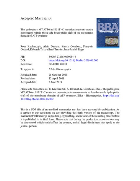 Pdf The Pathogenic Mt Atp6 M8851tc Mutation Prevents Proton