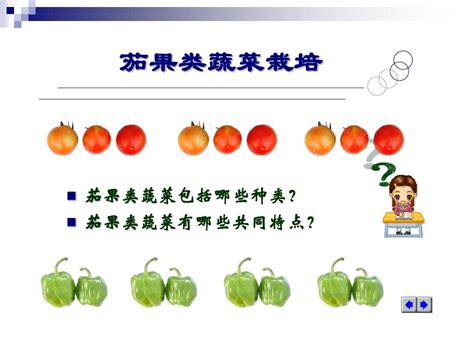 茄果类蔬菜栽培 文档之家