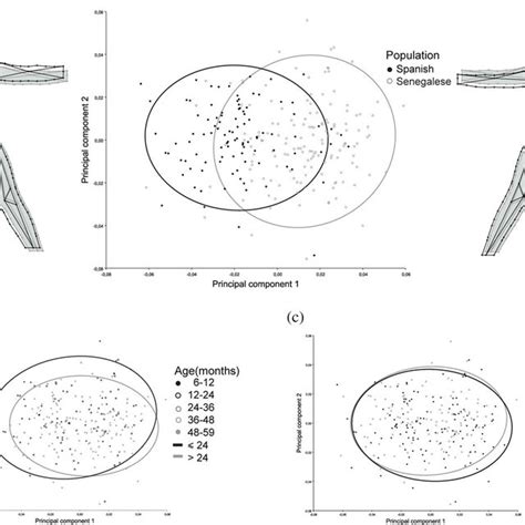 Sexual Dimorphism In Pelvis Shape Shown Are The Average Female And