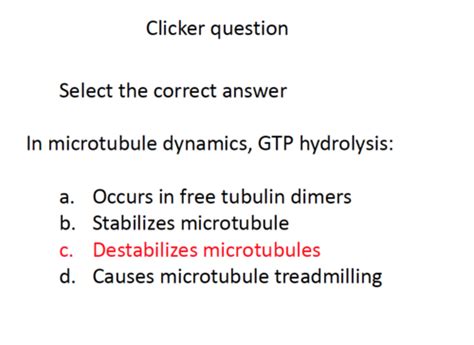 Lecture Cytoskeleton Ii Flashcards Quizlet