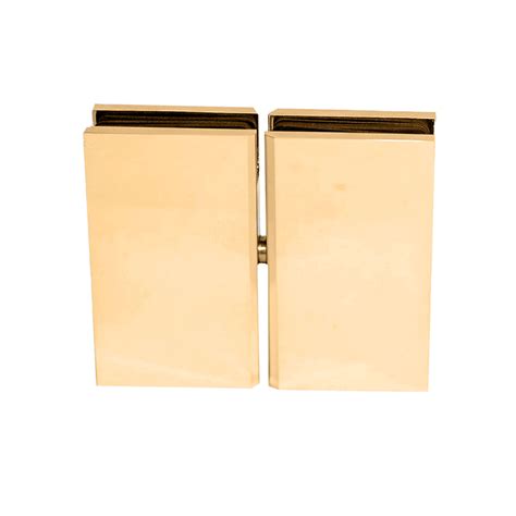 Ac2 Cardiff Glass To Glass Pivot Hinge Aria Vetri Glazing Hardware Supply