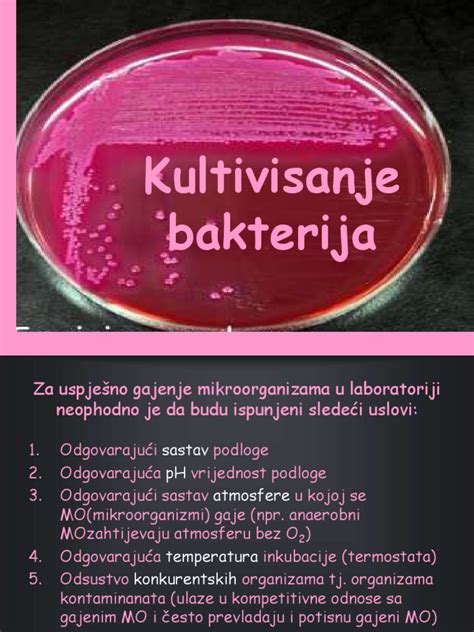 05 Hranljive Podloge Kultivisanje Bakterija Pdf